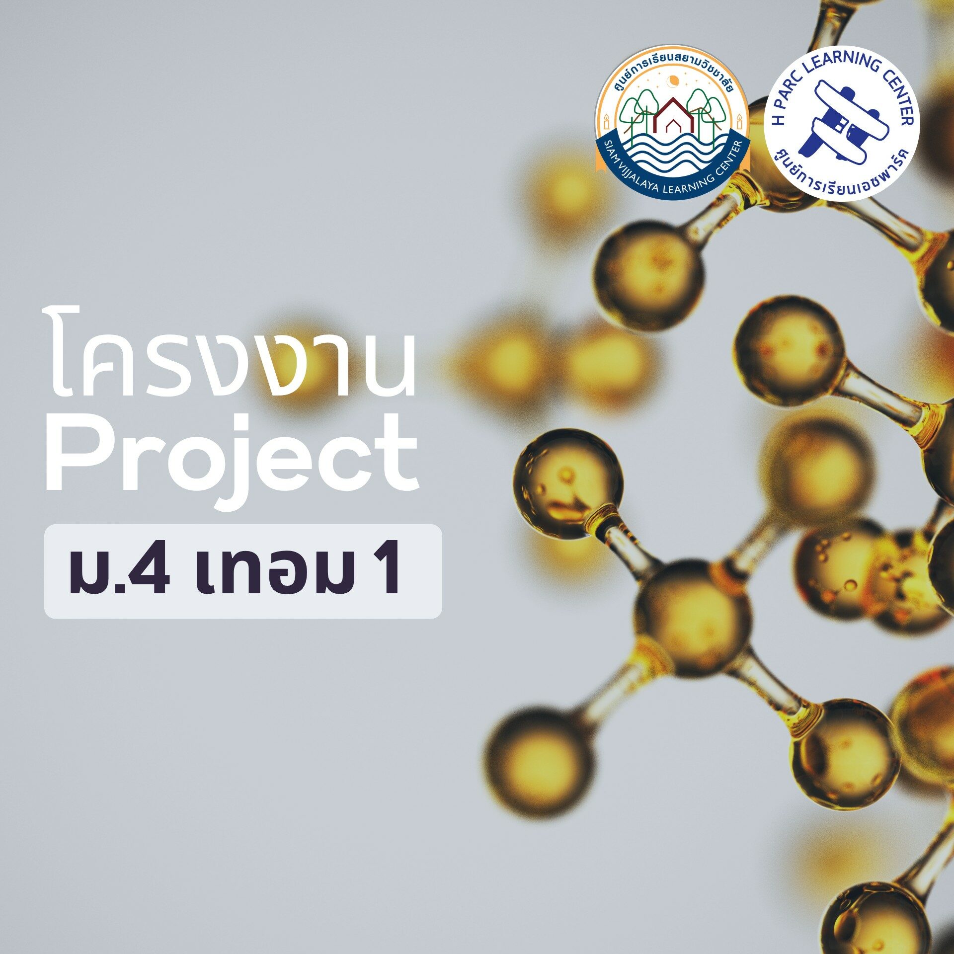 โครงงาน Project ม.4 เทอม 1 (SV) – ศูนย์การเรียนเอชพาร์ค
